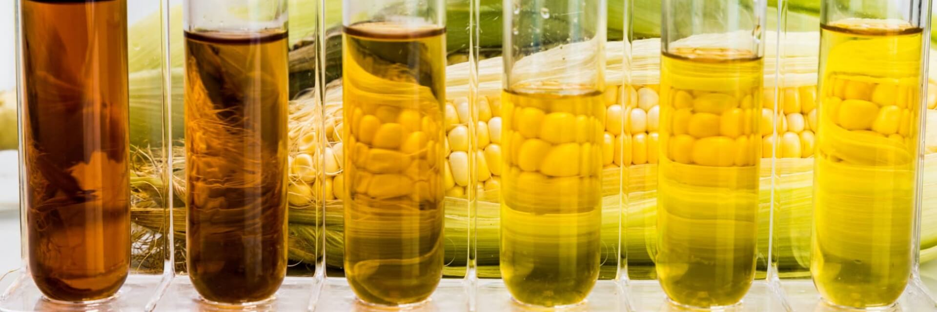 Mixing Equipment Bio-Ethanol Production - Jongia Mixing Technology