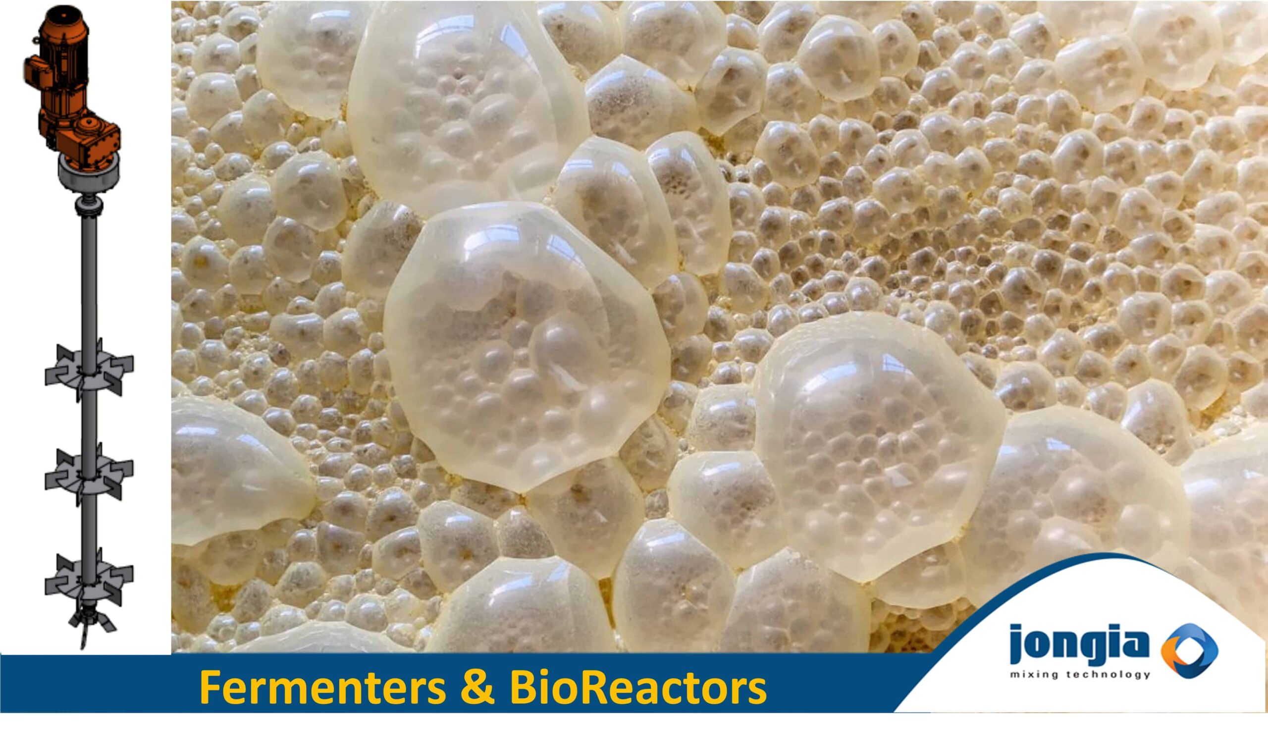 What Is Bioreactor And Its Types - Design Talk