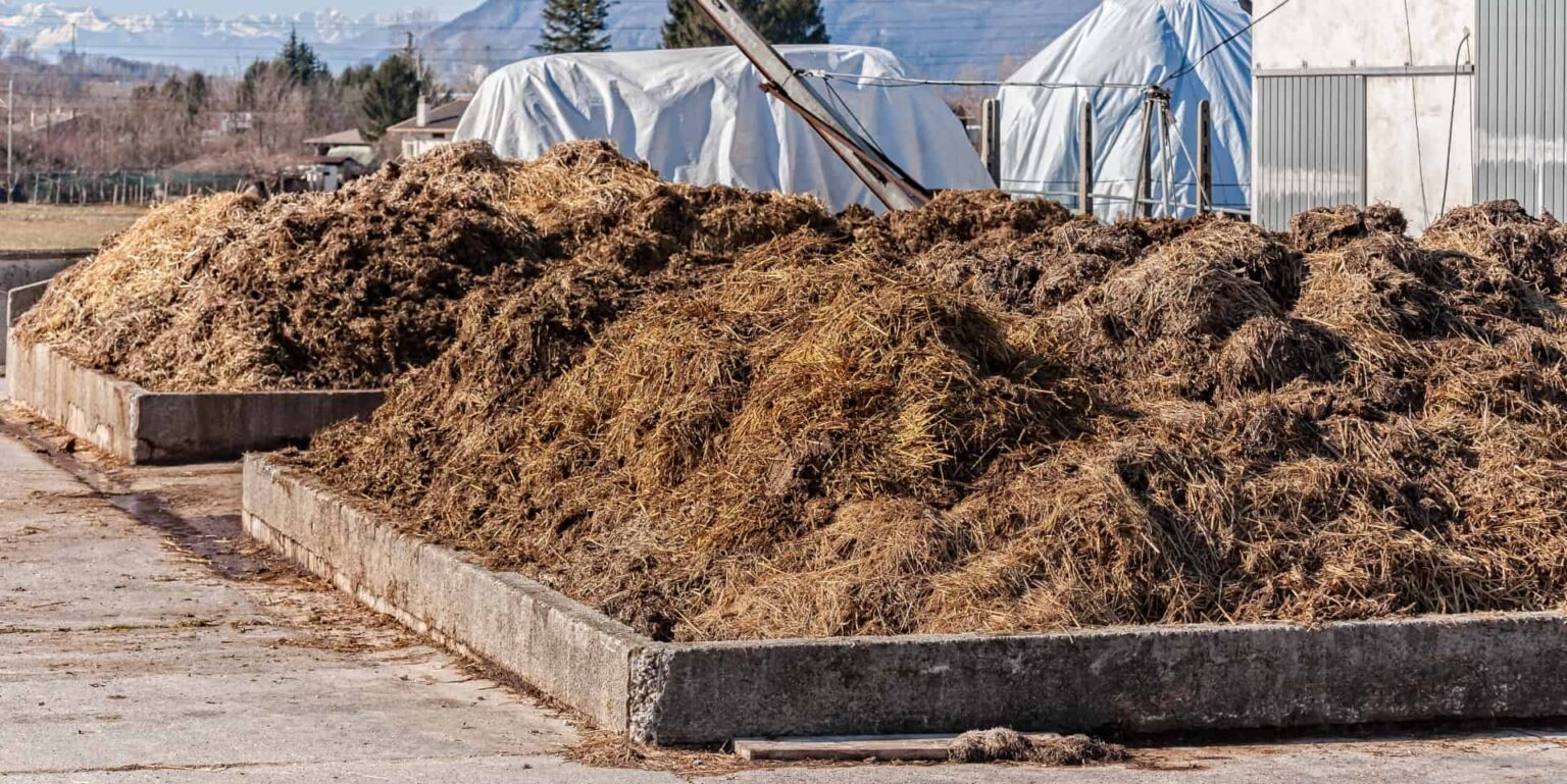 Manure fermentation: a guide to enhance biogas production - Jongia ...